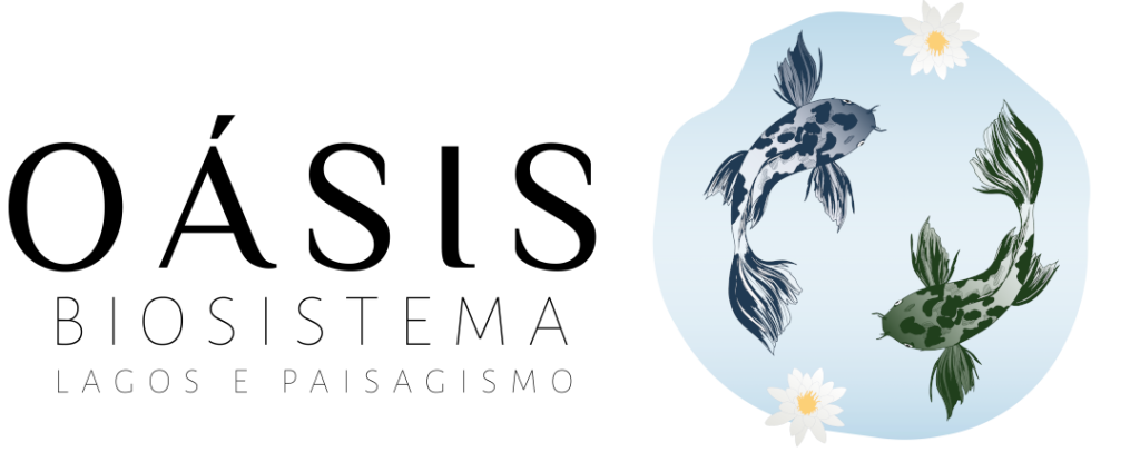 What Is a Plunge Pool? - Oásis Biosistema