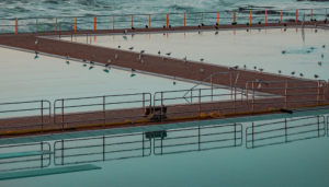 Reflective Pools: Timeless Elegance for Gardens & Spaces