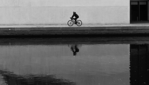 Reflective Pools: Timeless Elegance for Gardens & Spaces