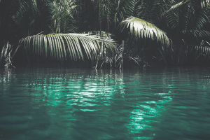Lagoon Pools: Design, Benefits, Costs & Customization Ideas